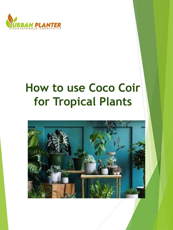 Coconut coir based products coco Bales,coco Bricks, Husk Chips